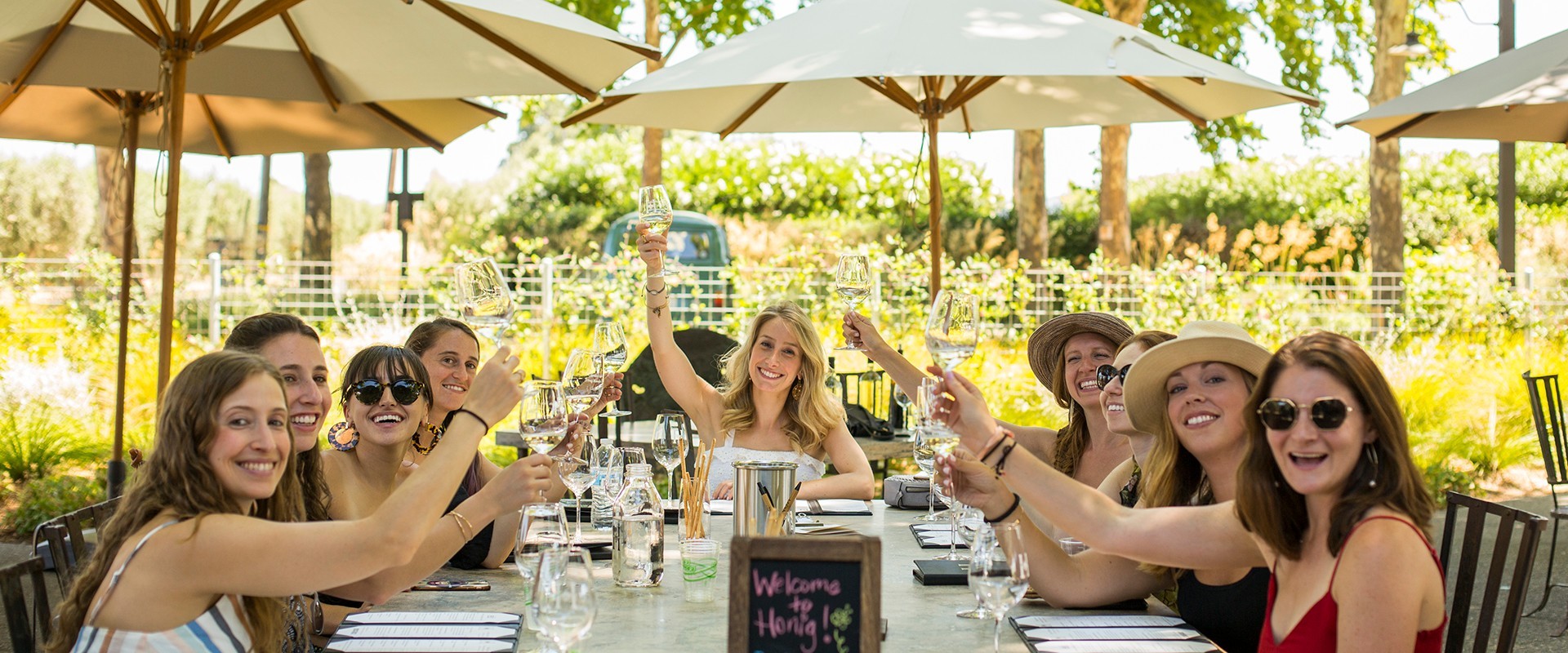 Honig Vineyard and Winery - Experience Honig - Terrace Tasting Experience